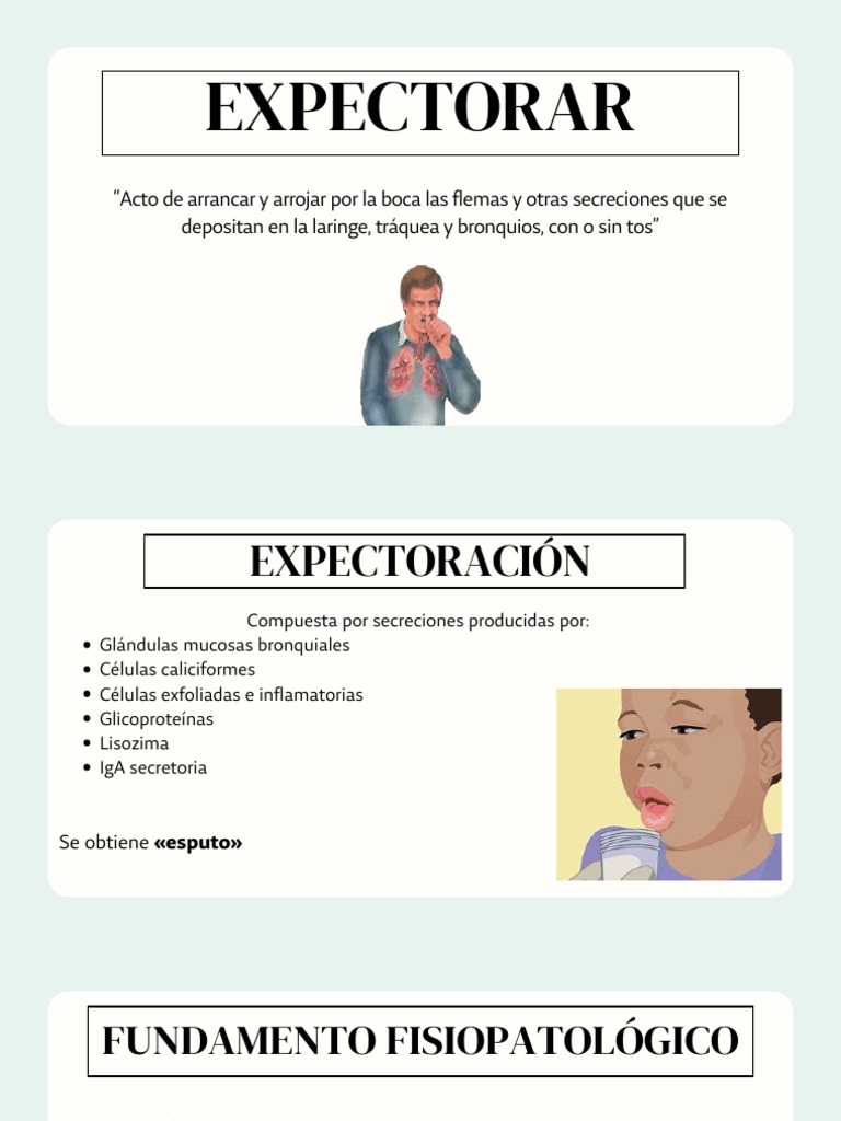 Tipos y análisis de la expectoración | PDF | Tos | Enfermedades y ...