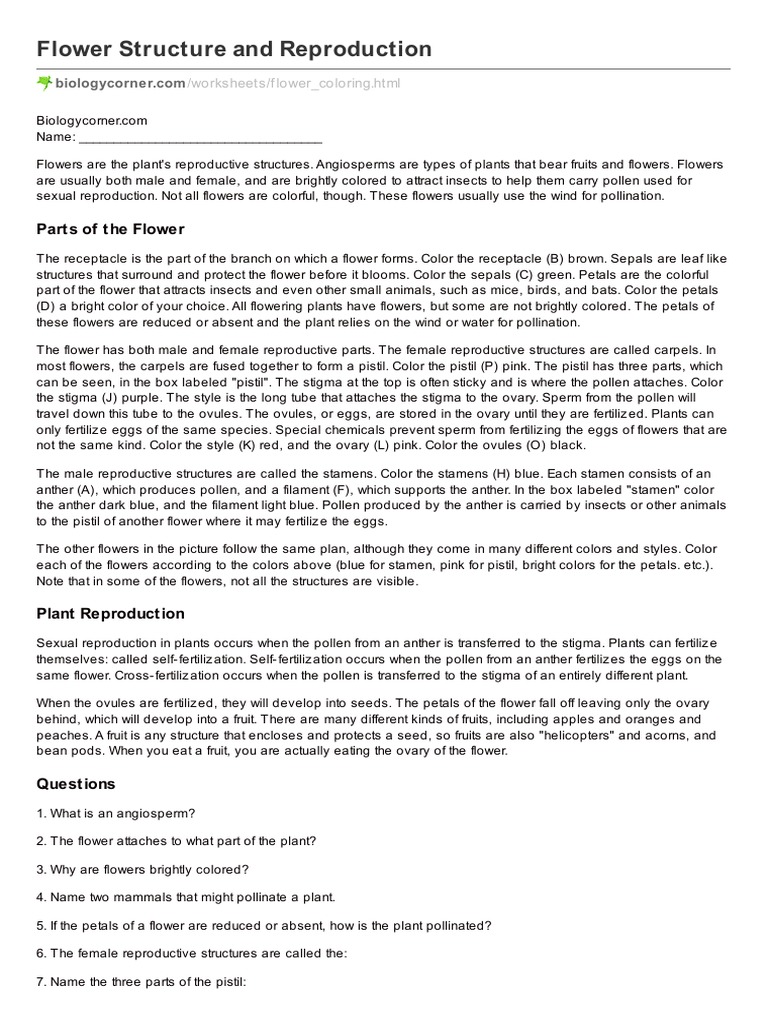 Flower Structure and Reproduction | PDF | Flowers | Fertilisation