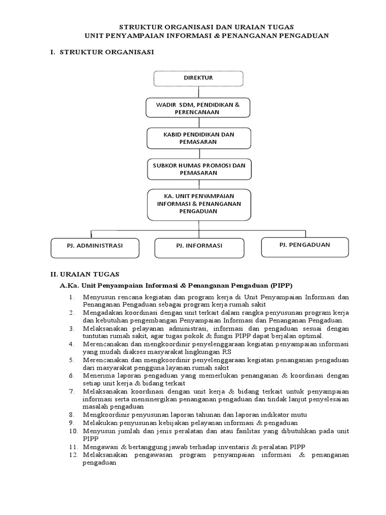 Struktur Organisasi Pipp | PDF