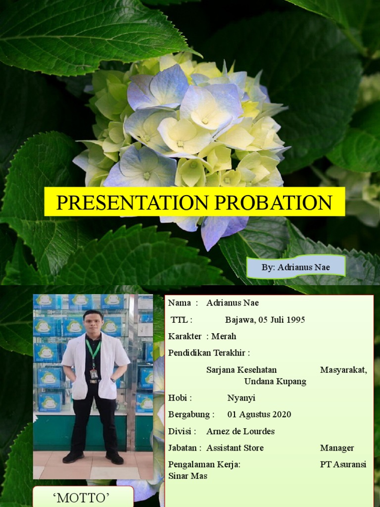 Slide Probation Adrian. | PDF