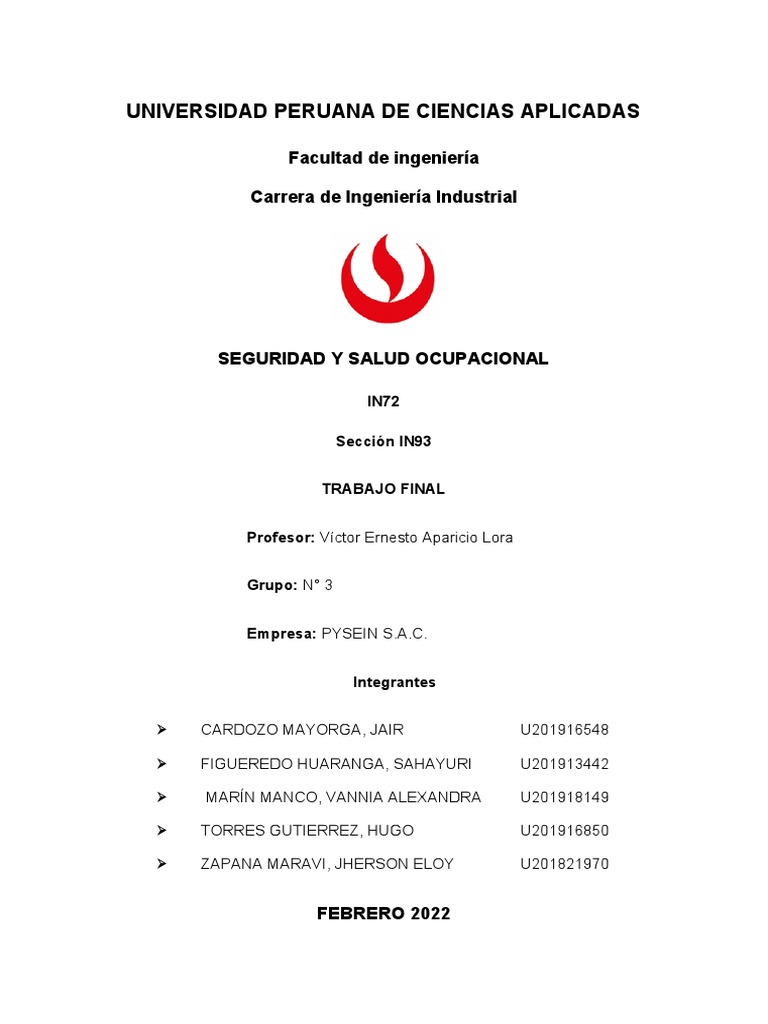 Propuesta de Seguridad en Pysein S.A.C. | PDF | La seguridad | Business
