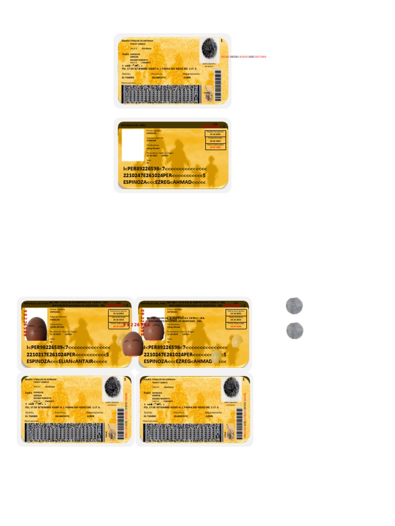 DNI Formato | PDF | Control de acceso | America latina