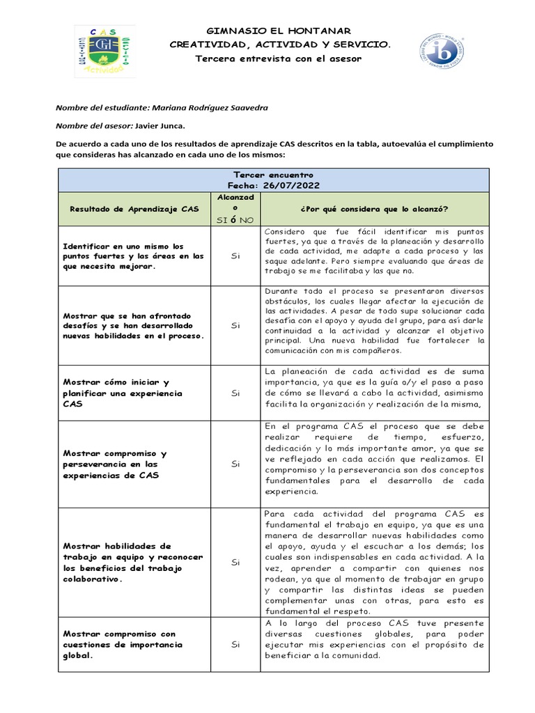 Tercera Entrevista Con El Asesor | PDF | Aprendizaje | Creatividad