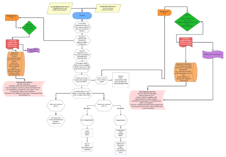 Anemia Concept Map | PDF | Anemia | Red Blood Cell