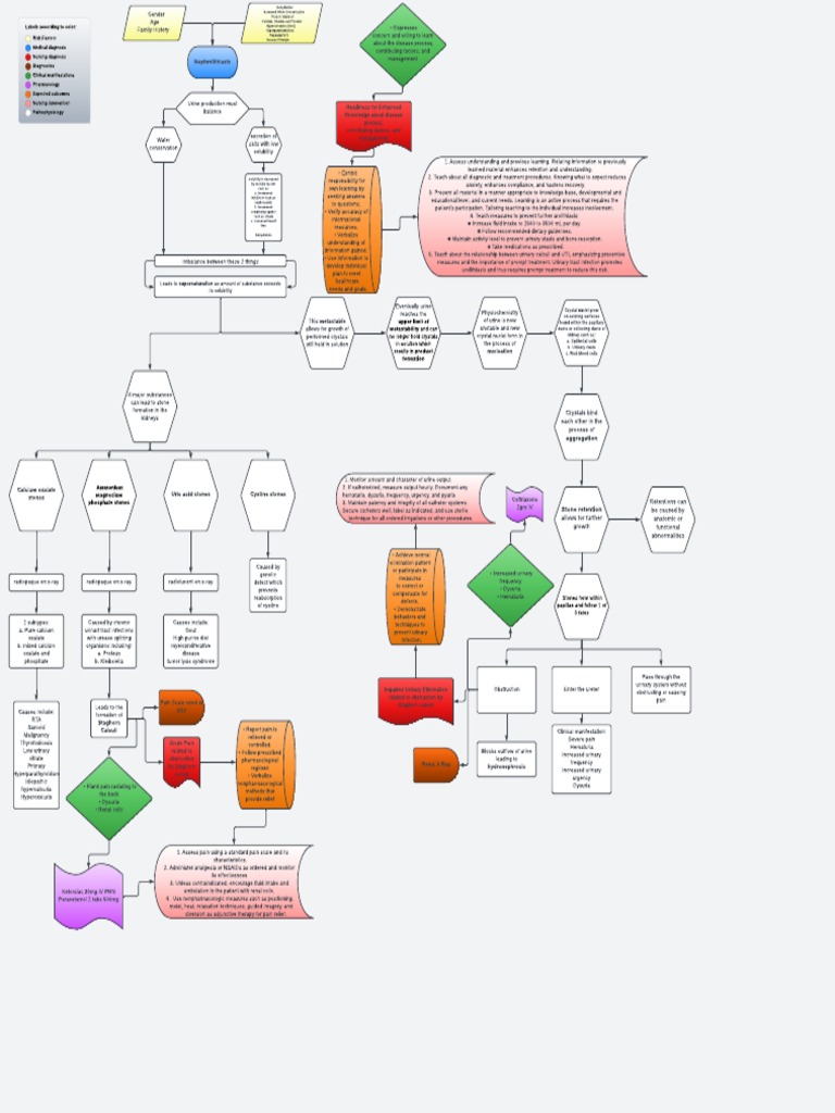 Nephrolithiasis Concept Map | PDF | Medical Specialties | Causes Of Death