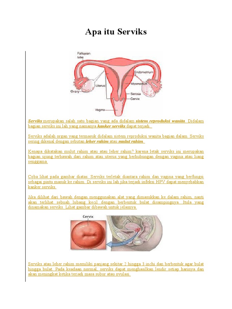 Apa Itu Serviks | PDF