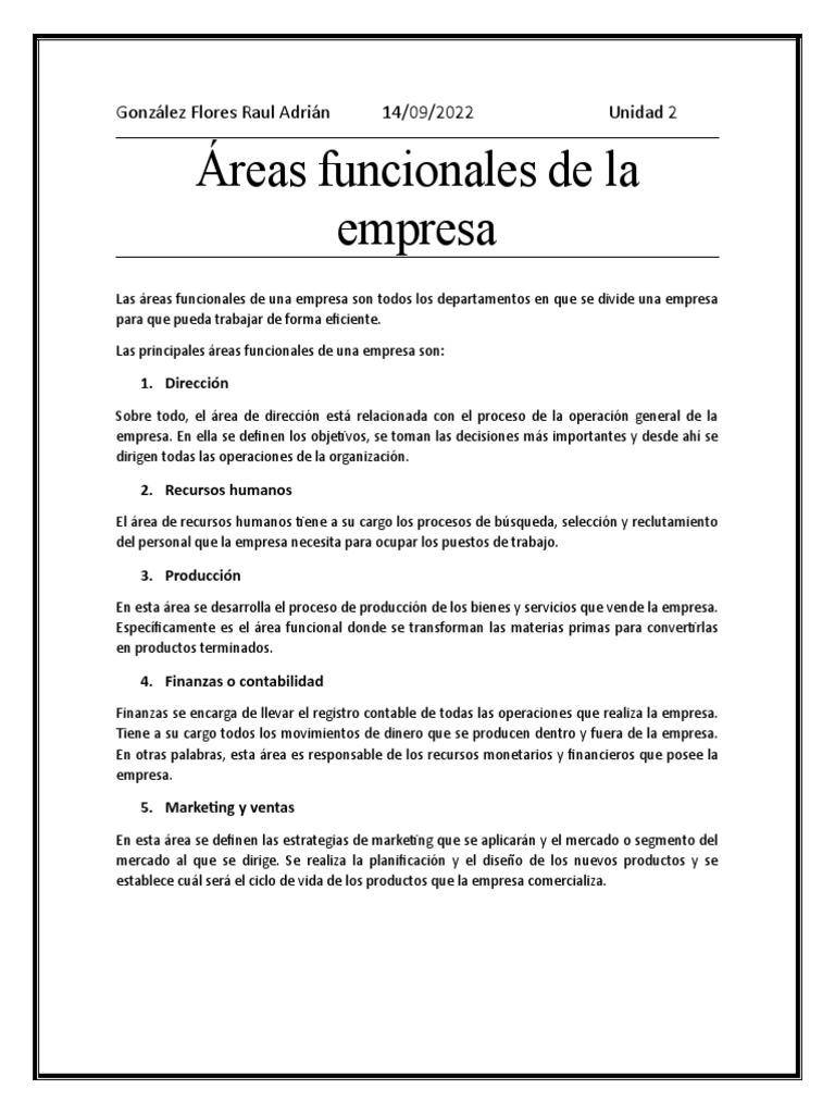 Areas Funcionales | PDF
