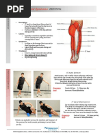 Ankle Strengthening Protocol | PDF | Ankle | Anatomical Terms Of Motion