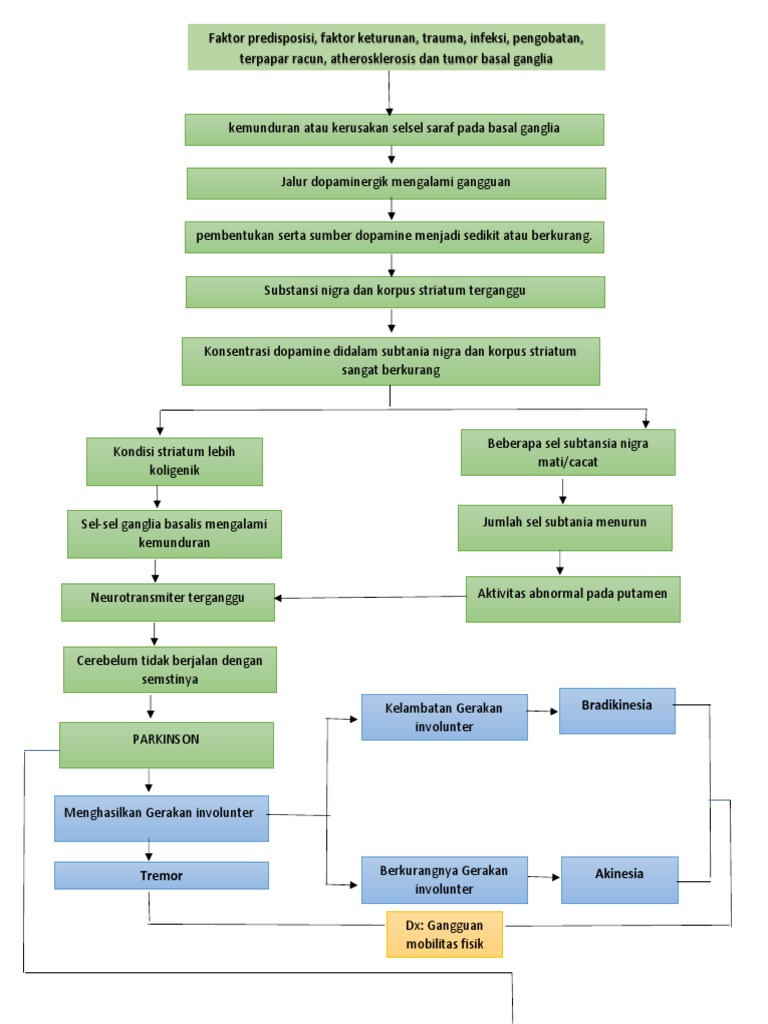 Pathway Parkinson | PDF