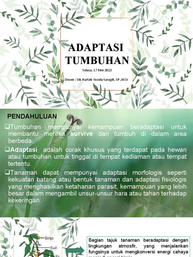 Adaptasi Tumbuhan (Ekologi Tanaman) | PDF | Griya & Taman