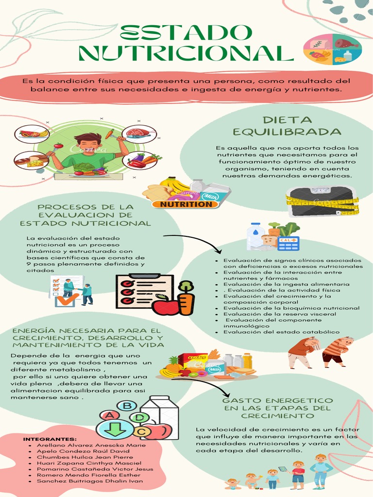 Infografia Estado Nutricional | PDF | Nutrición | Dieta y nutrición