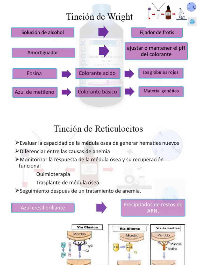 Análisis morfológico de los eritrocitos y tinción de Wright | PDF | Glóbulo rojo | Coagulación
