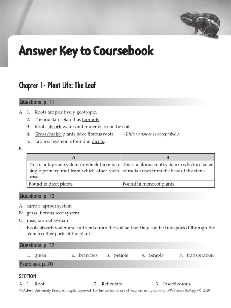 Answers - Class 6 | PDF | Leaf | Branches Of Botany