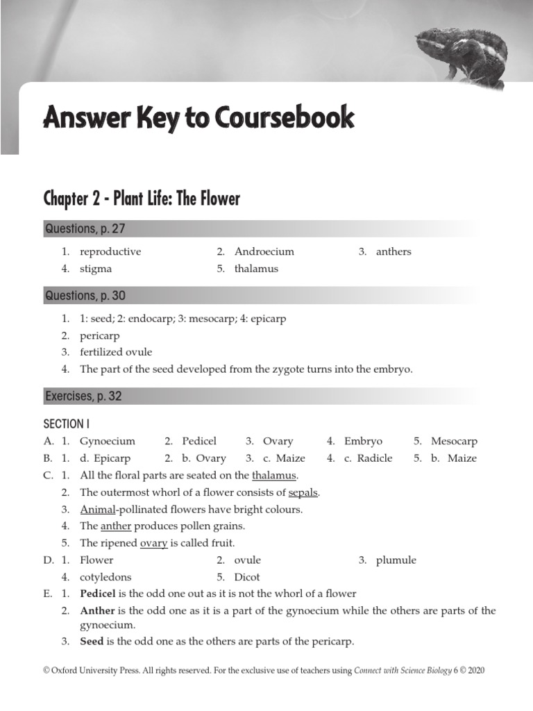 Answers - Class 6 Phy | PDF | Flowers | Seed