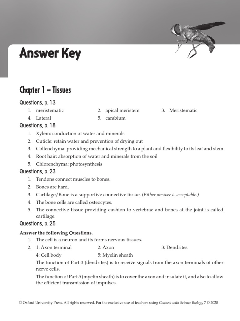 Answer - Bio - Class 7 Chap 1 | PDF | Tissue (Biology) | Axon