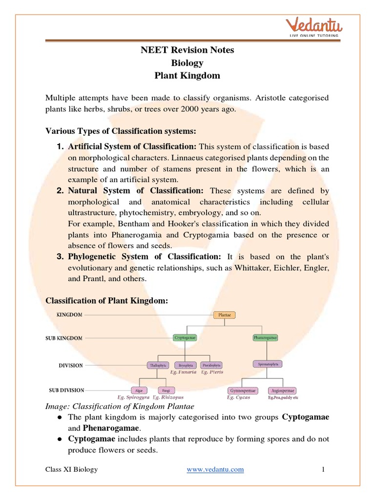 Class 11 Plant Kingdom Overview | PDF | Fertilisation | Spore