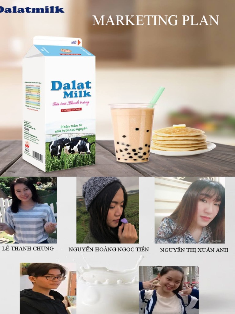 DaLat Milk Marketing Strategy Overview | PDF | Milk | Dairy