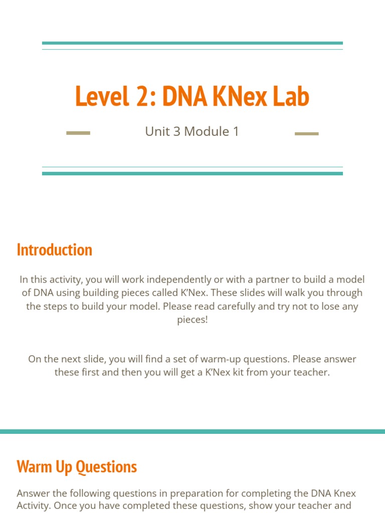 L2 - DNA KNex Lab | PDF | Dna | Dna Replication
