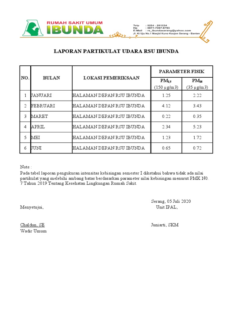 Laporan Partikulat | PDF