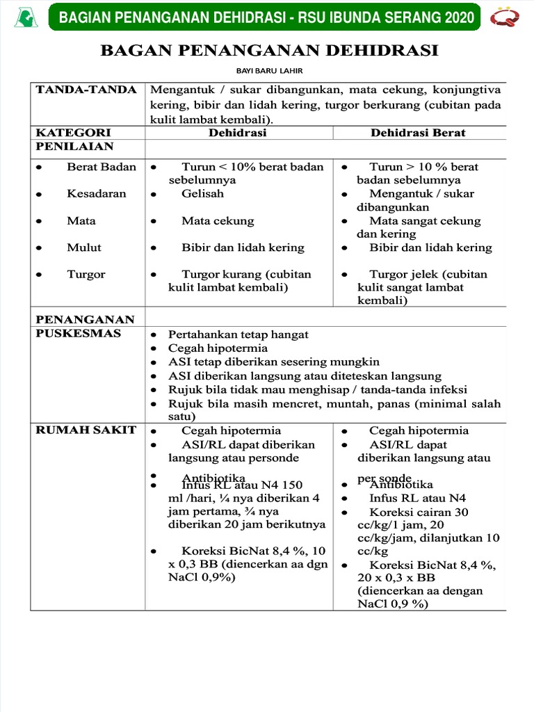 Tatalaksana Dehidrasi pada Anak | PDF