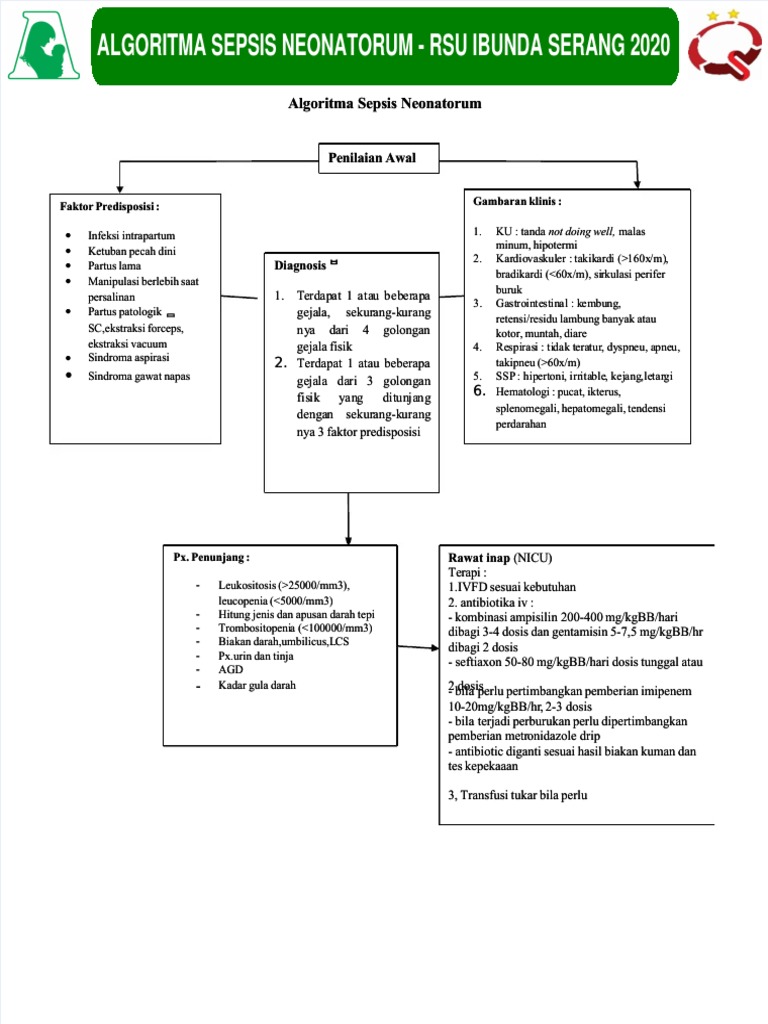Pdf-Algoritma-Sepsis-Neonatorumdocx - Compress | PDF
