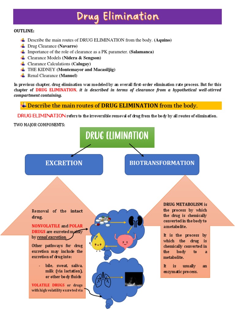 Drug Elimination | PDF | Kidney | Drugs