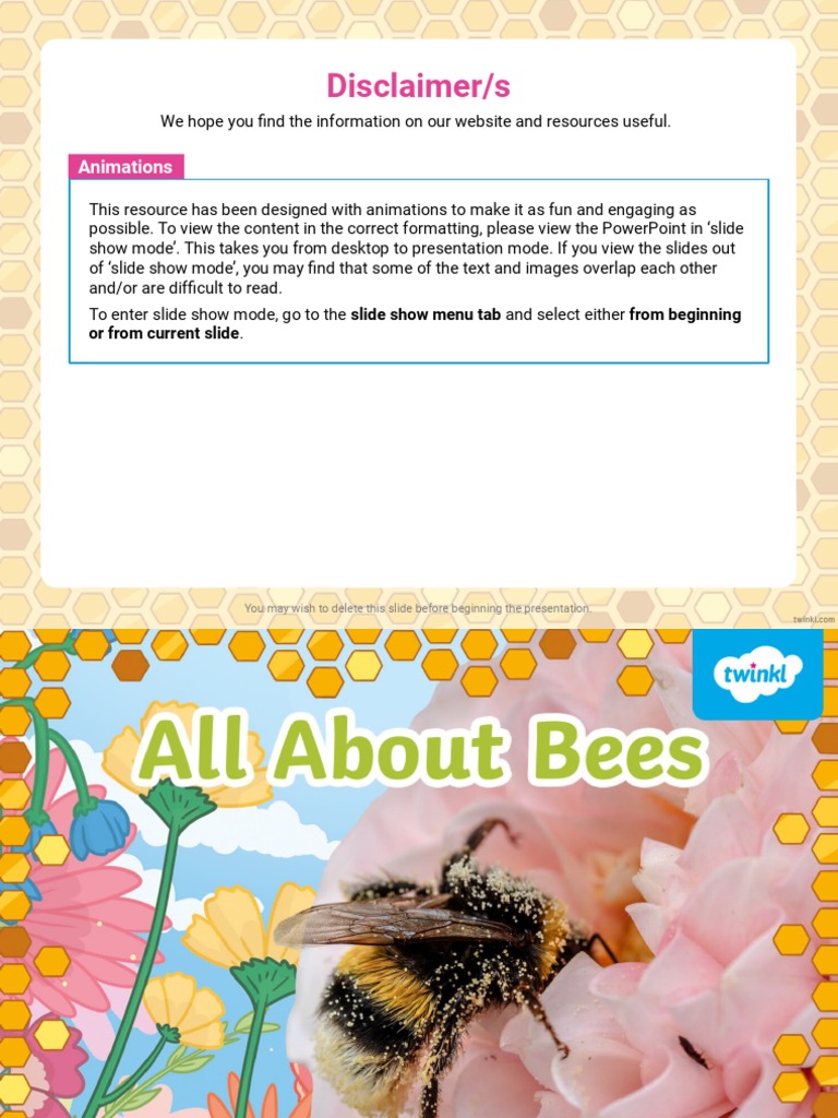 T e 1663853941 Ks1 All About Bees Powerpoint Ver 1 | PDF | Bumblebee ...