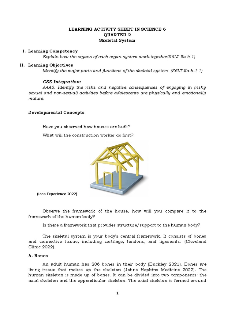 Grade 6 Skeletal System Overview | PDF | Skeleton | Bone