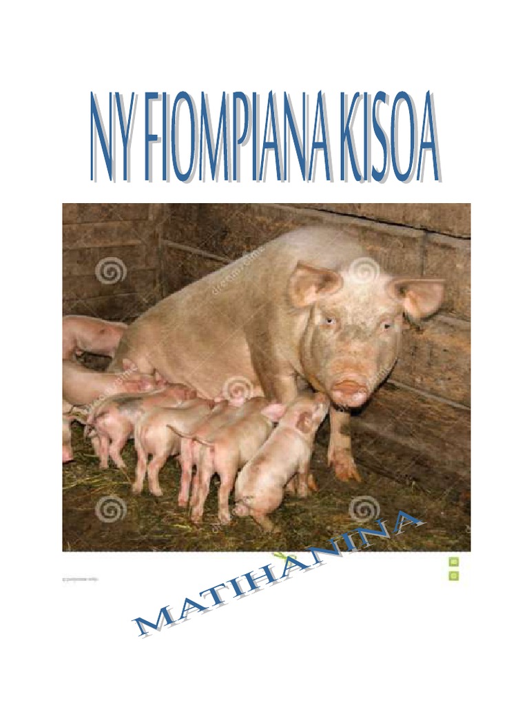 Ny Fiompiana Kisoa | PDF