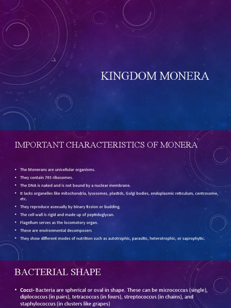 Kingdom Monera | PDF | Protozoa | Bacteria
