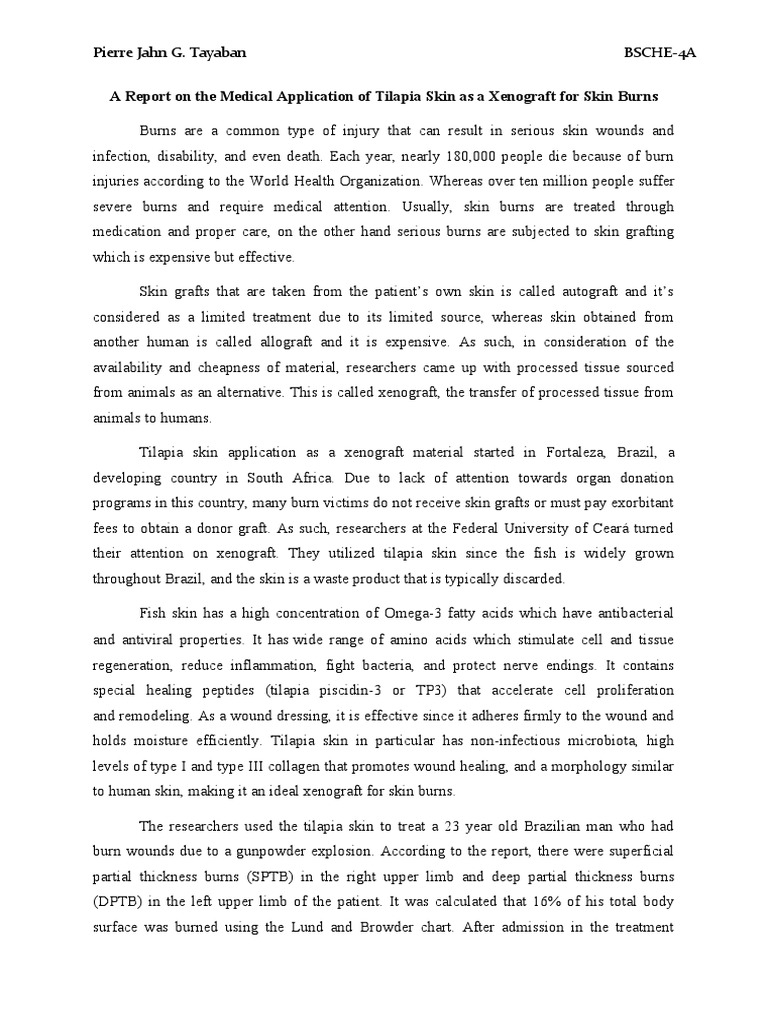 A Report On The Medical Application of Tilapia Skin As A Xenograft For ...