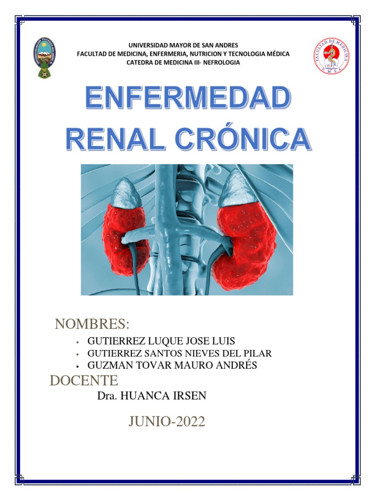 Informe Erc | PDF | Enfermedad renal crónica | Nefrología