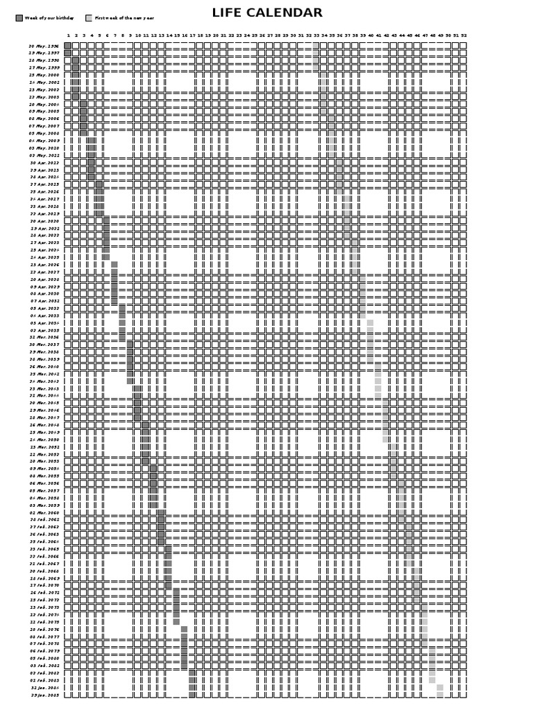 My Life Calendar | PDF