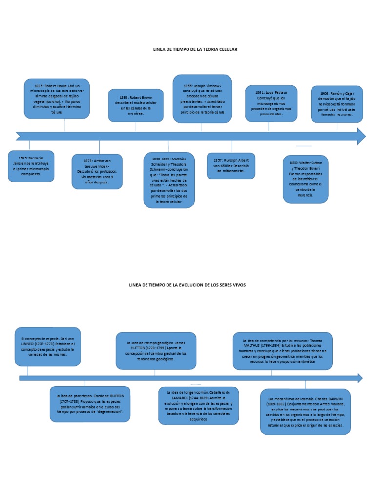 Linea de Tiempo de La Teoria Celular | PDF | Biología Celular) | Evolución