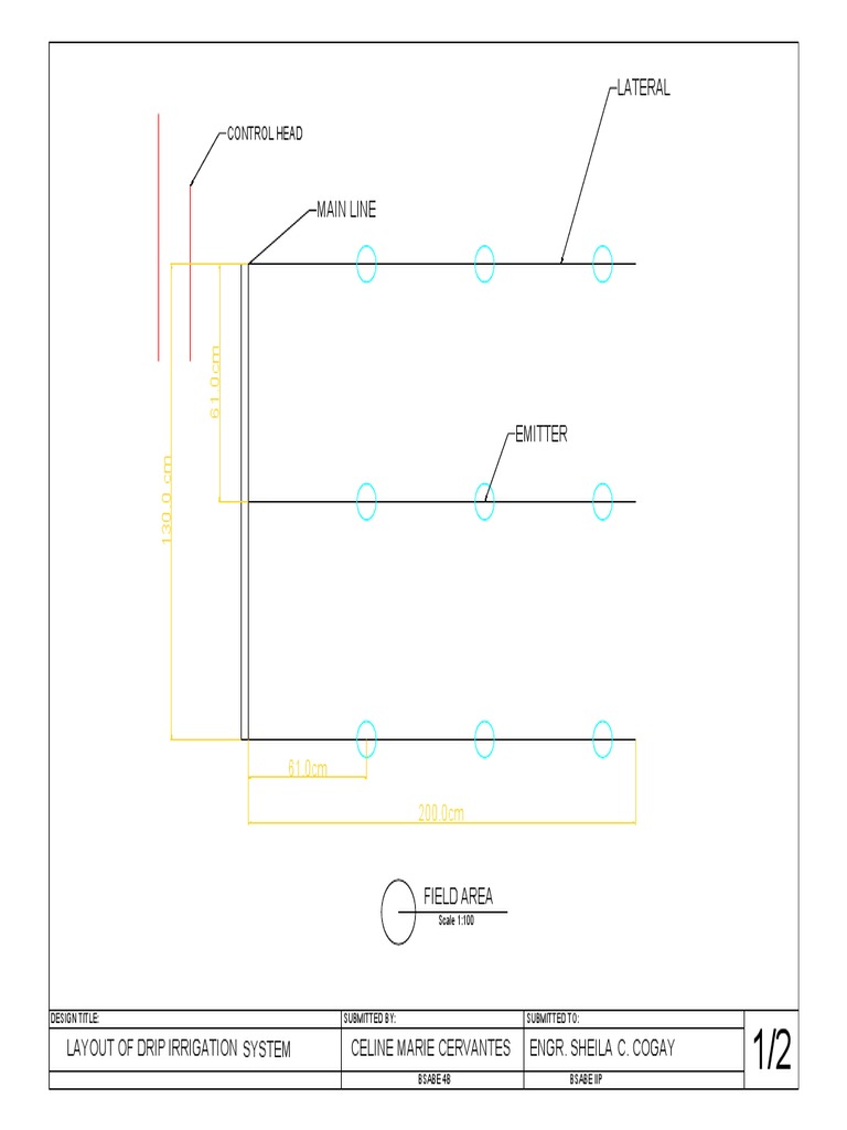 Celine Drip Irrigation Design Layout | PDF
