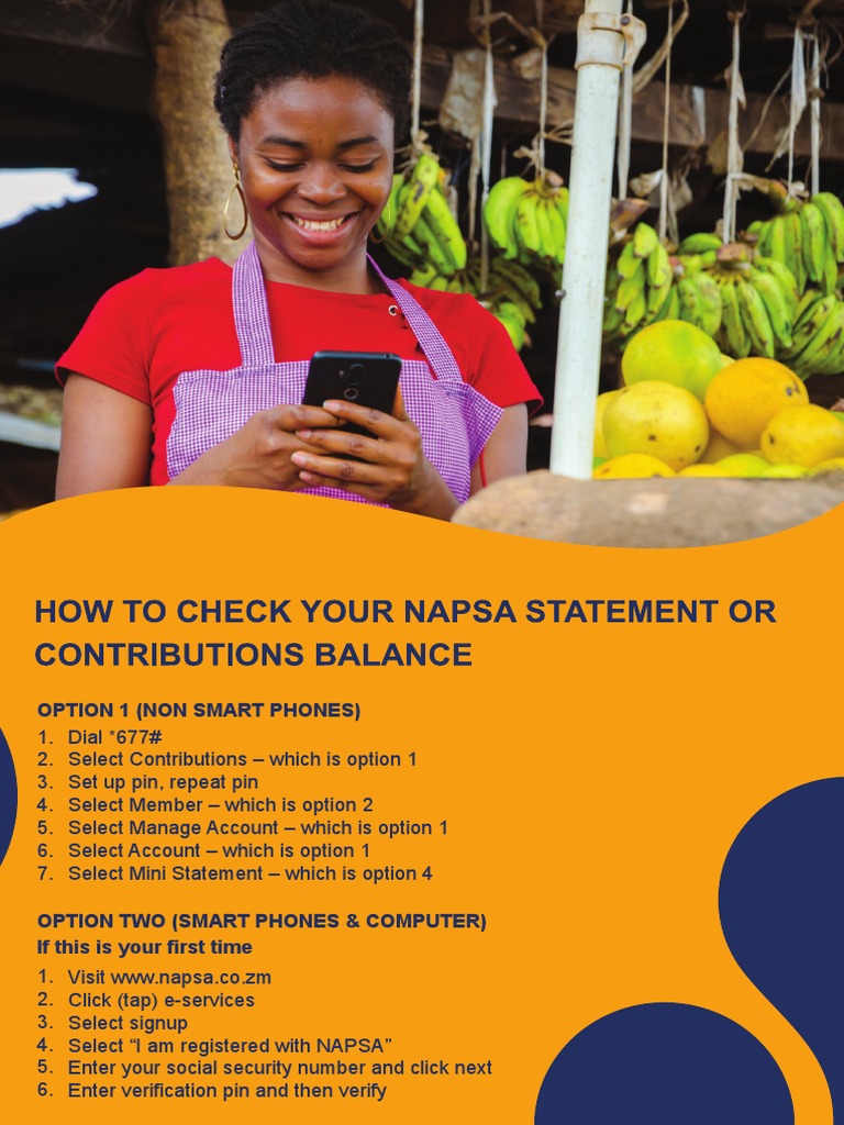 NAPSA-How To Check NAPSA Statement-V02-V03 (1) - 220605 - 154108 | PDF