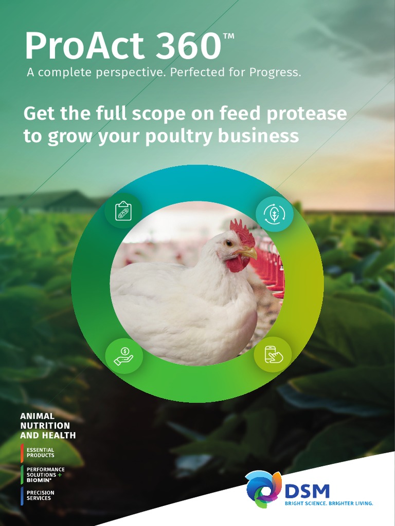 BRO ProAct360 P EN 0322 A4 | PDF | Proteins | Poultry Farming