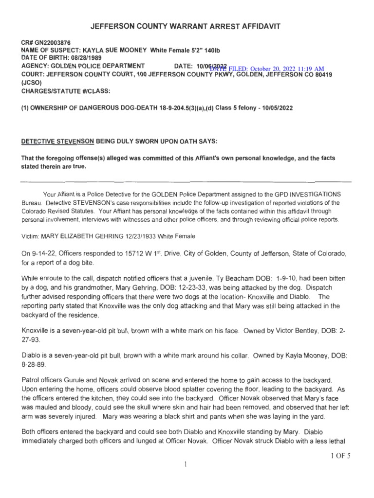 Kayla Mooney Arrest Affidavit | PDF | Affidavit