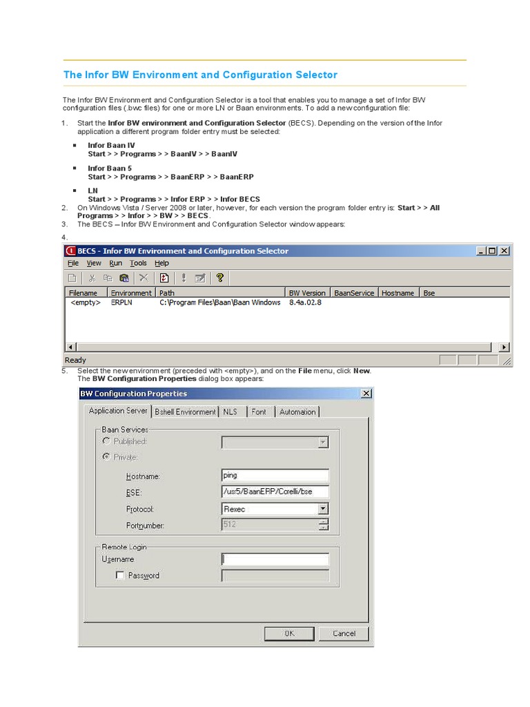 The Infor BW Environment and Configuration Selector | PDF | Computer ...