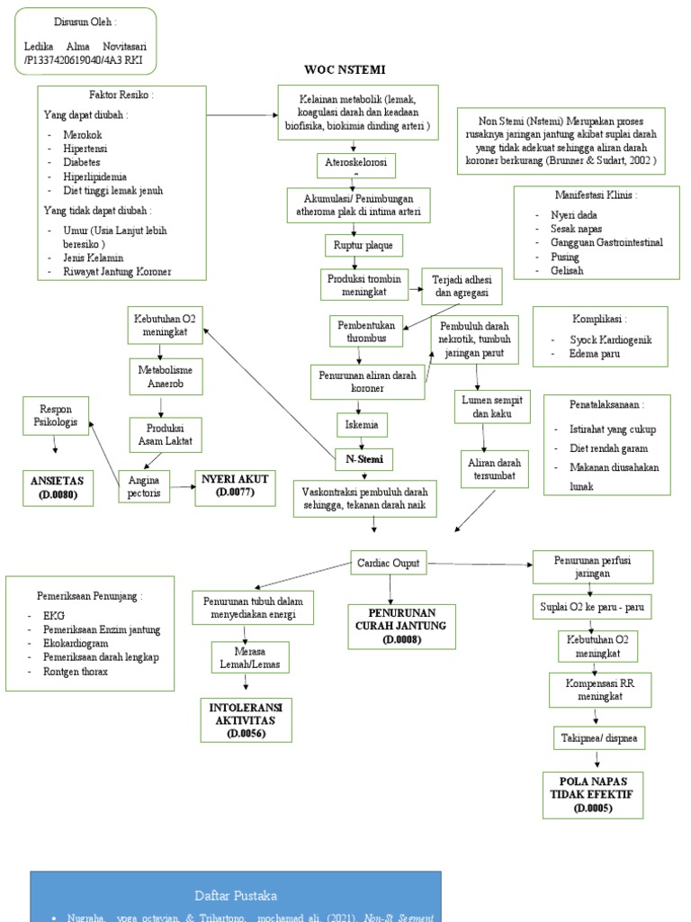 Woc Nstemi Alma | PDF