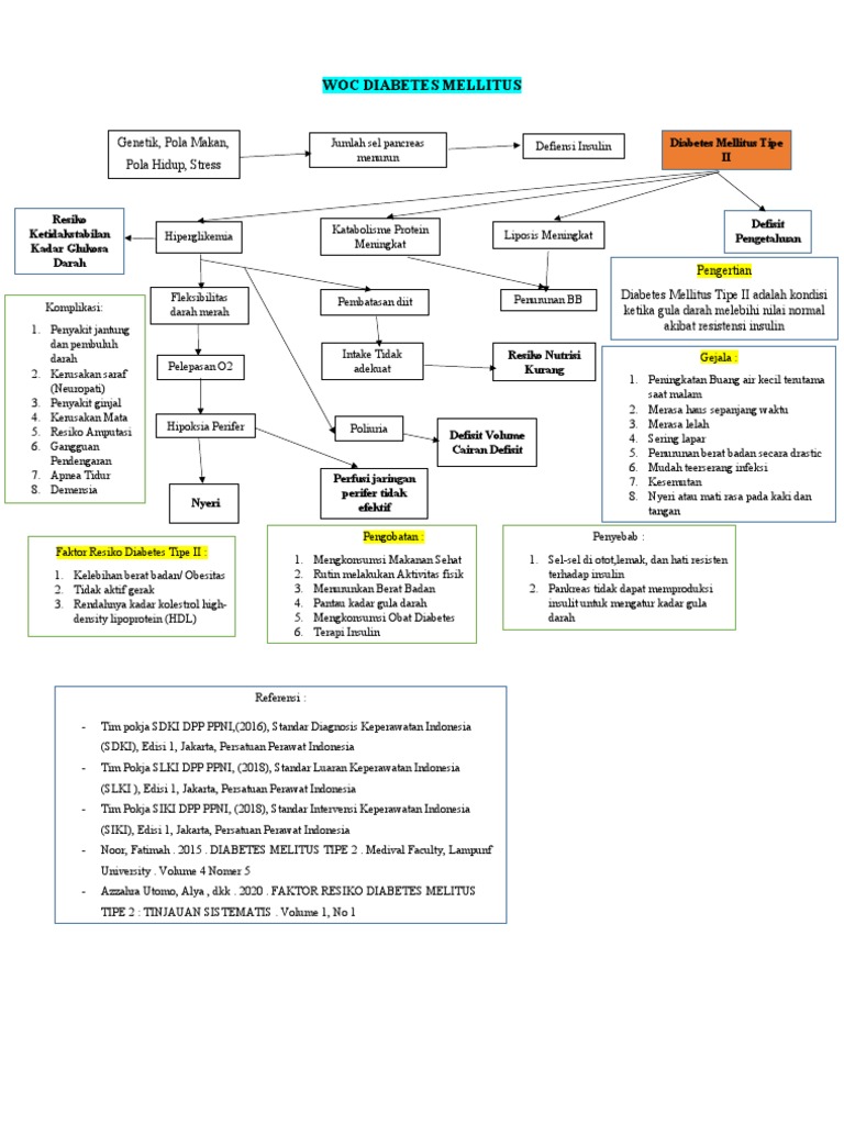 Woc Diabetes Mellitus | PDF