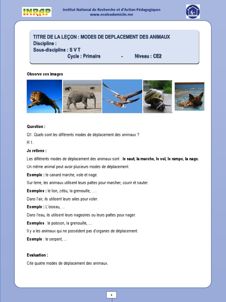 Modes de Déplacement des Animaux CE2 | PDF | Sciences sociales ...