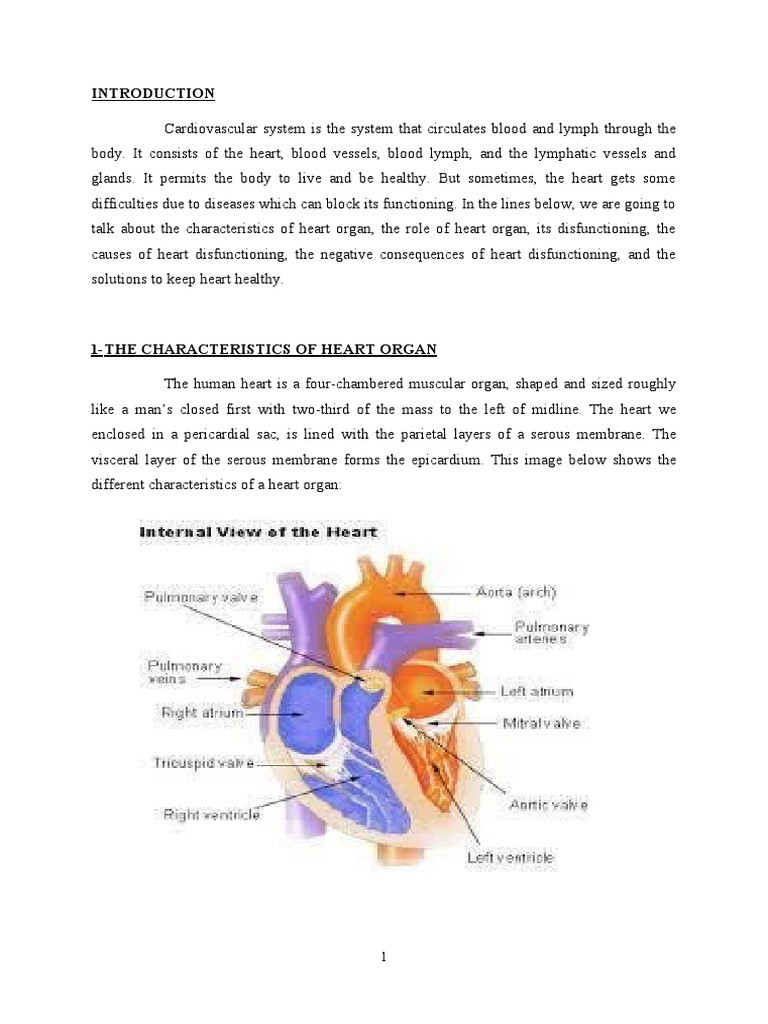 Understanding the Anatomy, Function, Dysfunction and Care of the Heart ...