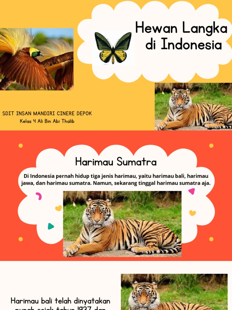 Hewan Langka Di Indonesia | PDF