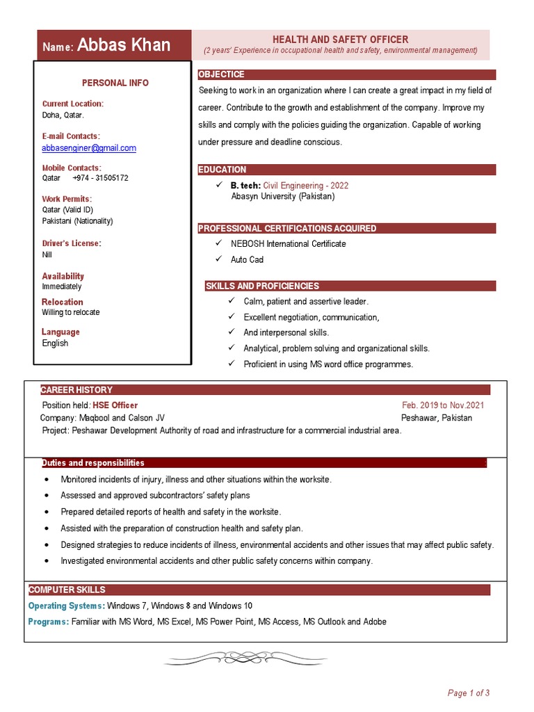 Abbas CV | PDF | Occupational Safety And Health