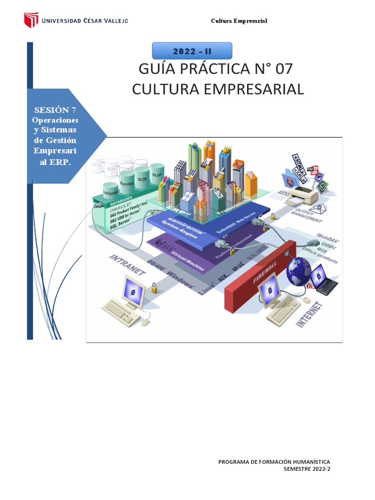 Guía Práctica #07 | PDF | Planificación de recursos empresariales | Business