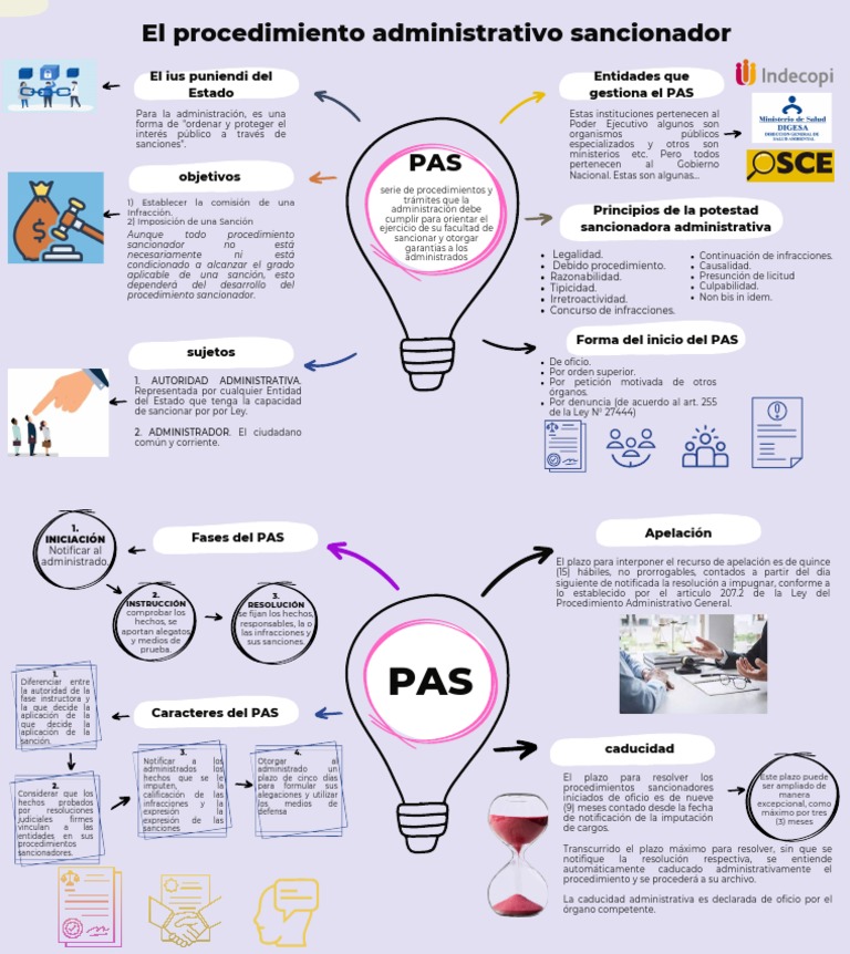 El Procedimiento Administrativo Sancionador | PDF | Apelación | Gobierno