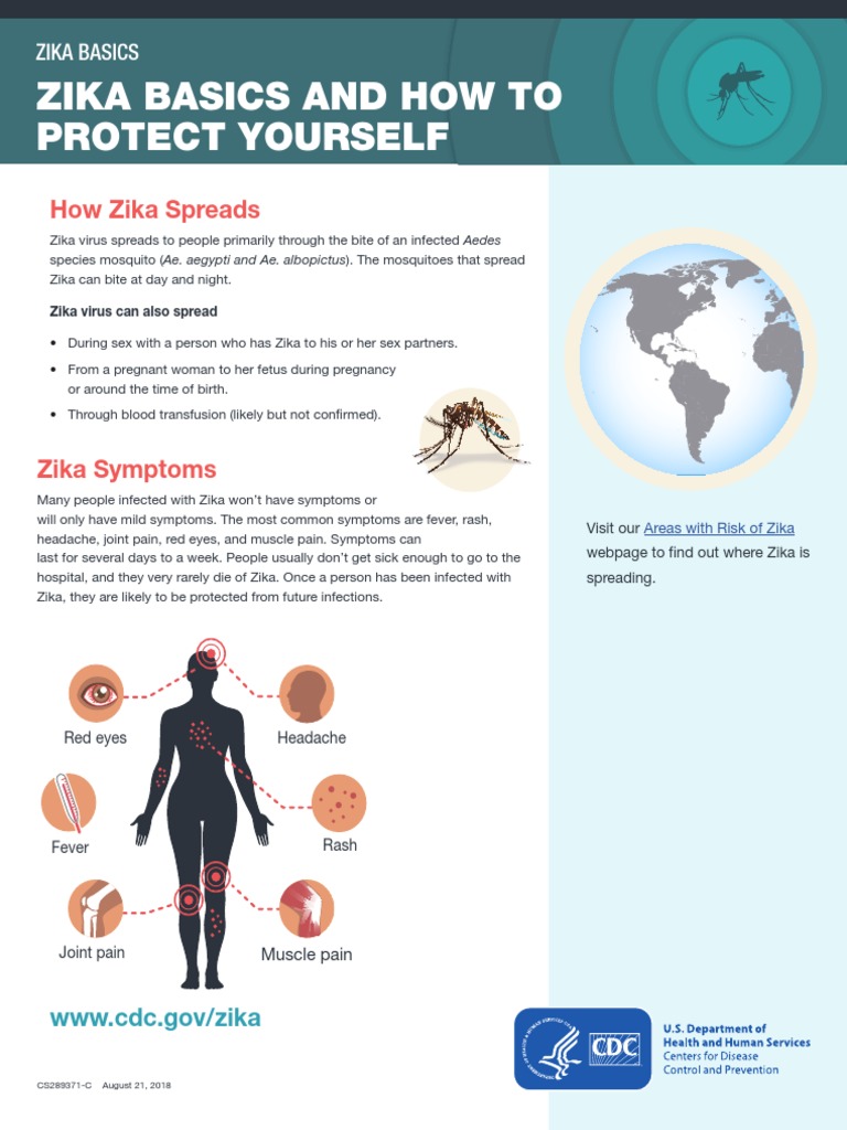 Fs Zika Basics | PDF | Zika Fever | Diseases And Disorders