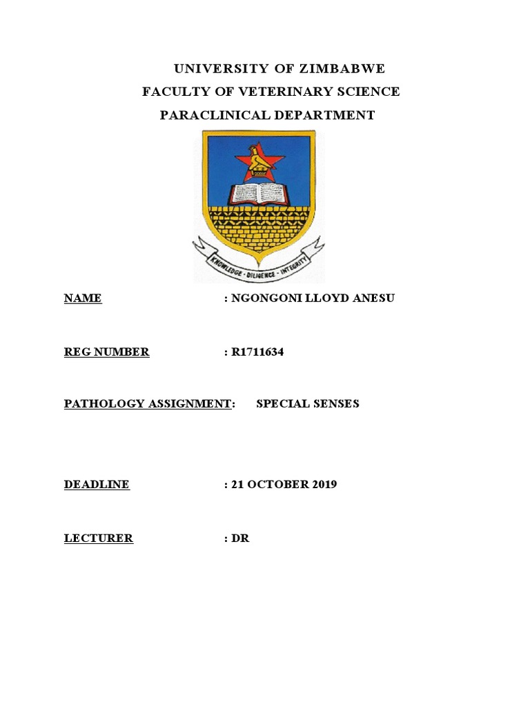 Pathology Assignment 2 | PDF | Cornea | Causes Of Death