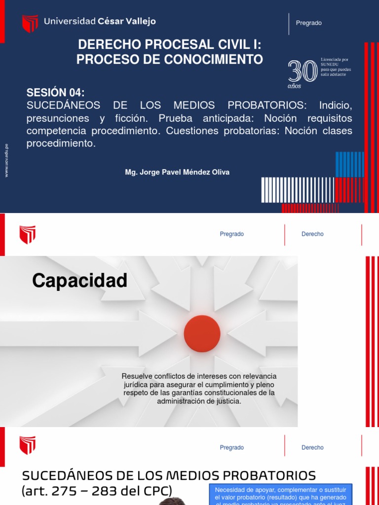 Sesión 4. Sucedáneos de Los Medios Probatorios | PDF | Principios ...